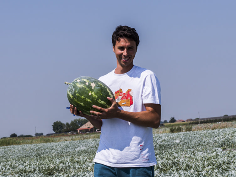 The craft of Zerbinati’s Watermelons – MOMO Kombucha
