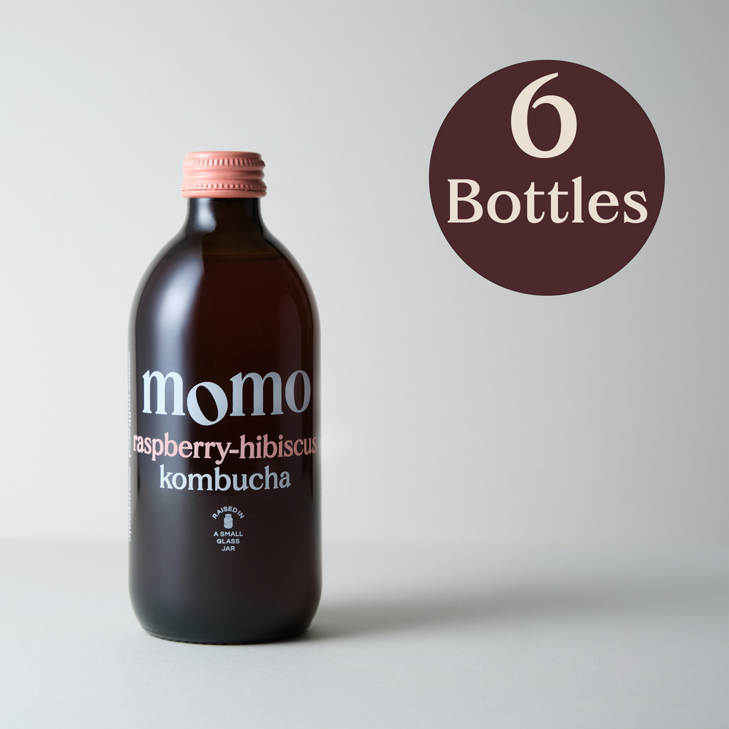 Is kombucha alcoholic? How much does it contain? – MOMO Kombucha